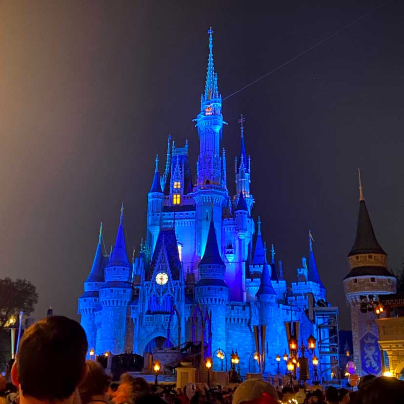 Cinderella-Castle - the VACATIONEER